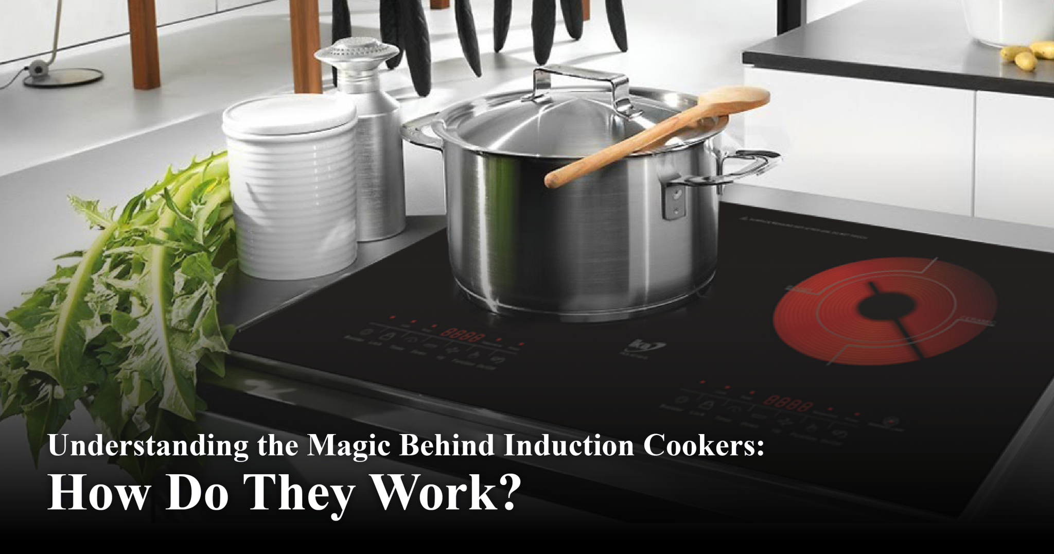 Understanding the Magic Behind Induction Cookers: How Do They Work ...